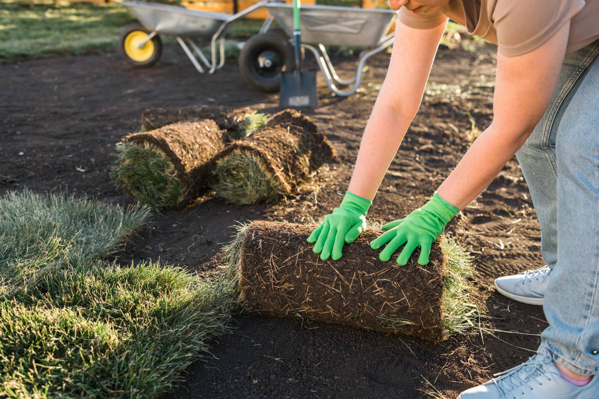 How Much Does Turf Installation Cost in Sydney? Can You DIY?